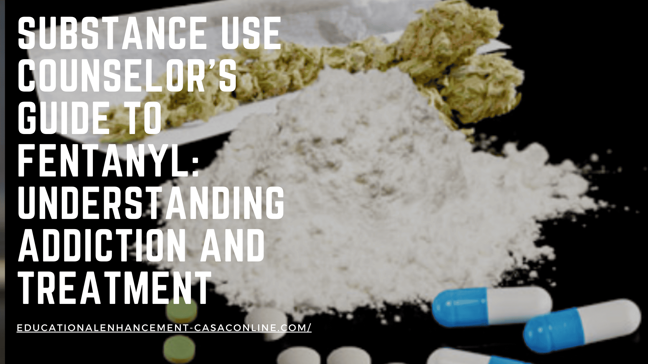 A Useful Guide on Fentanyl and Substance Use Counseling