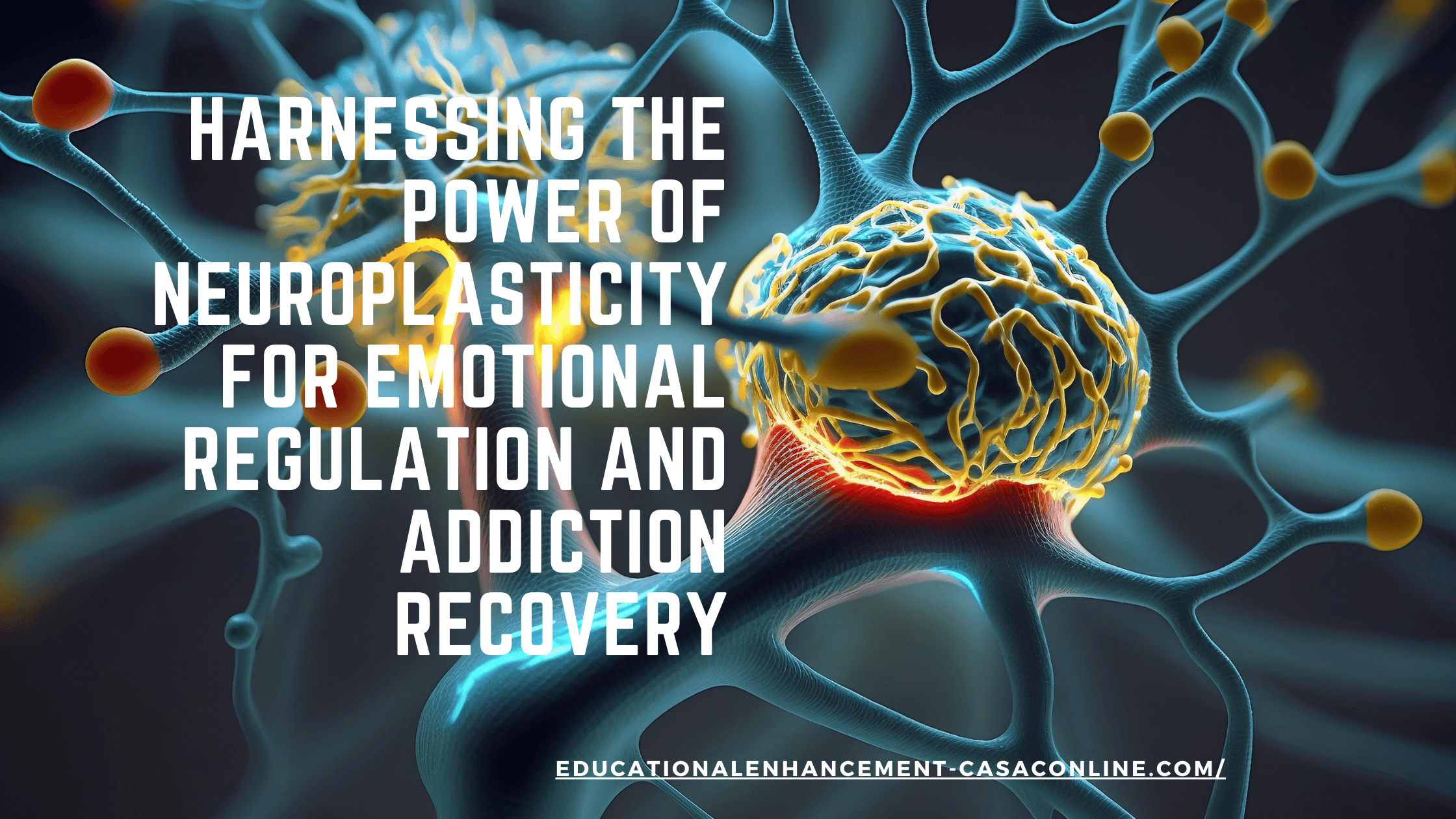 Neuroplasticity for Emotional Regulation and Addiction Recovery