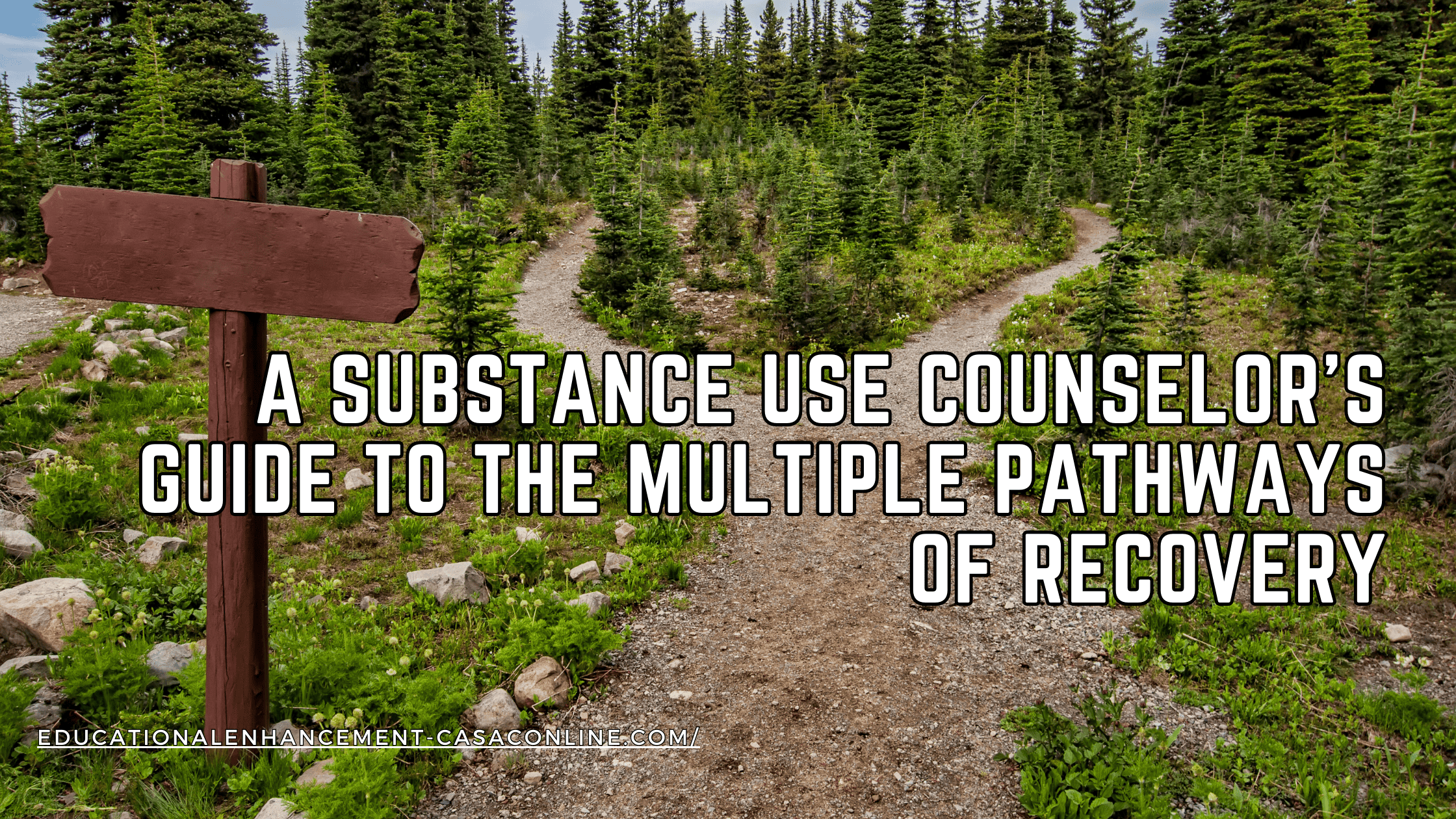 Multiple Pathways of Recovery: A Personal Journey