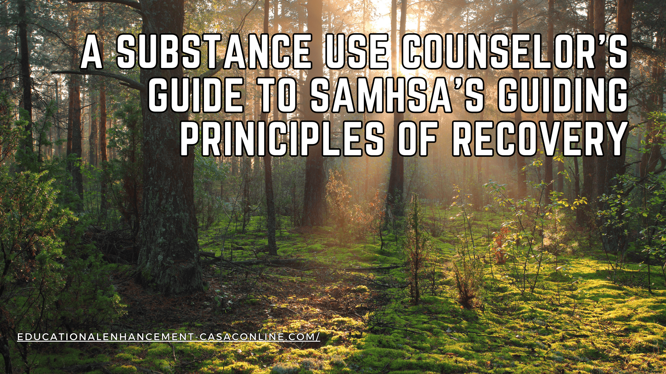 SAMHSA's Guiding Principles of Recovery and Addiction Treatment