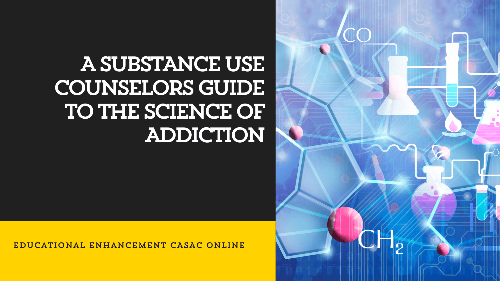 A Substance Use Counselors Guide to the Science of Addiction